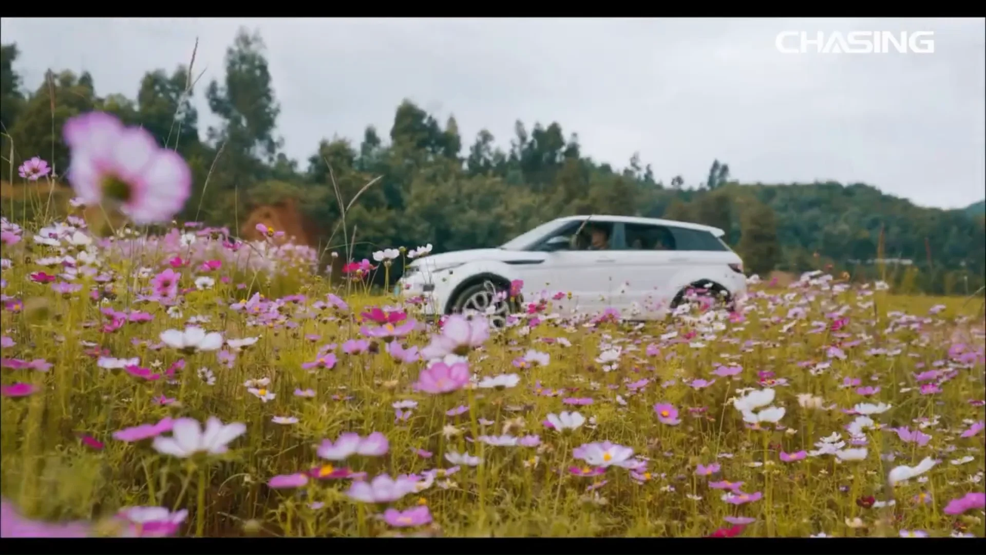 Chasing F1 Pro Bait Boat Hull Gps Fish Finder With Camera Remote ...