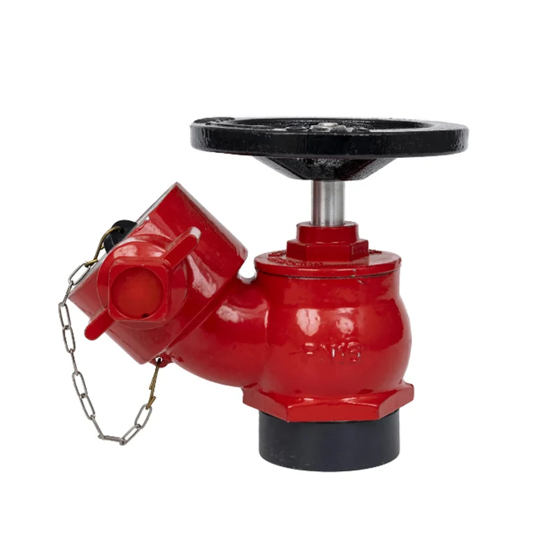 Indoor Outdoor Firefighting Hydrant Fire Hydrant Dn80 Dn100 Fire Hose Deluge Valve Firefighting ...