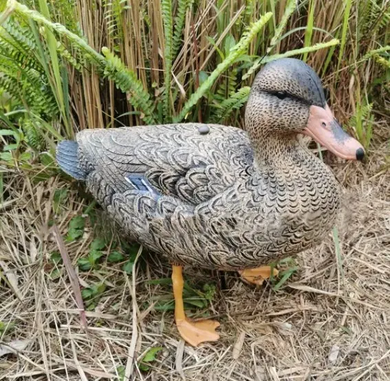 Extremely Realistic Duck Decoys - Perfect for Waterfowl Hunting