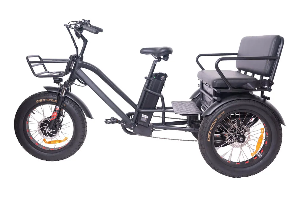 Most Popular 20ah 750w 7speed Electric Bicycle 3 Wheels Fat Bike Etrike ...