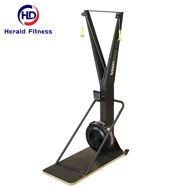 Indoor Commercial Gym Ski Resort Snow air Rower Erg Trainer Fitness ...