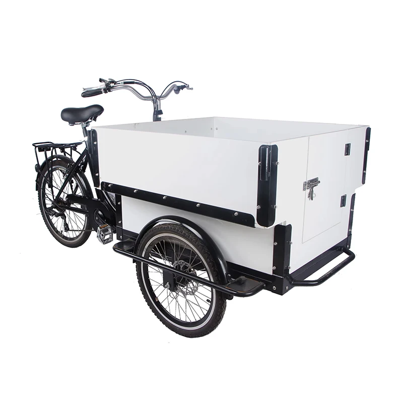 Dutch Electric Bakfiets - Efficient Cargo Bike Solutions