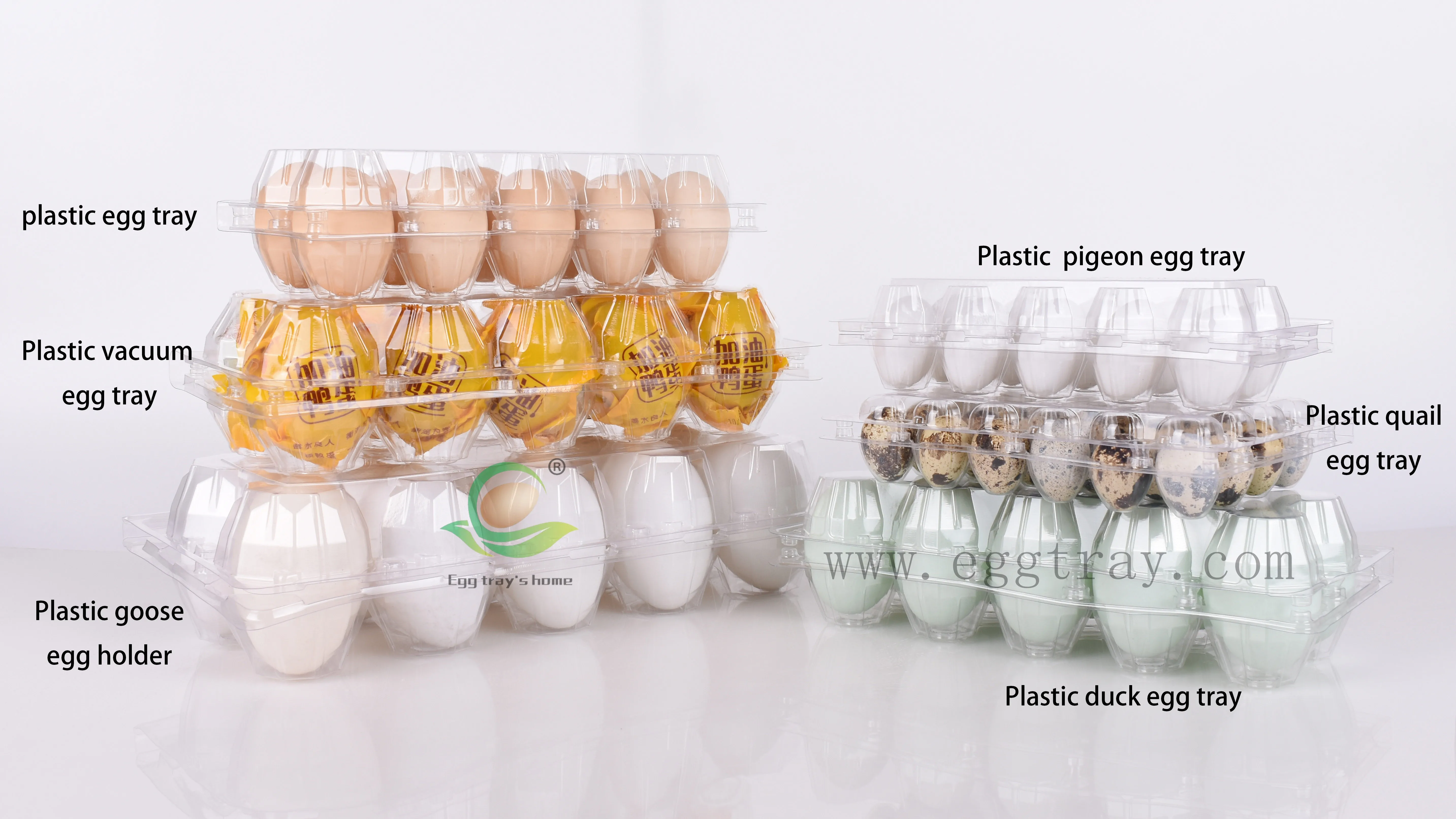 12 Holes Plastic Egg Tray Box - Transparent PET Disposable