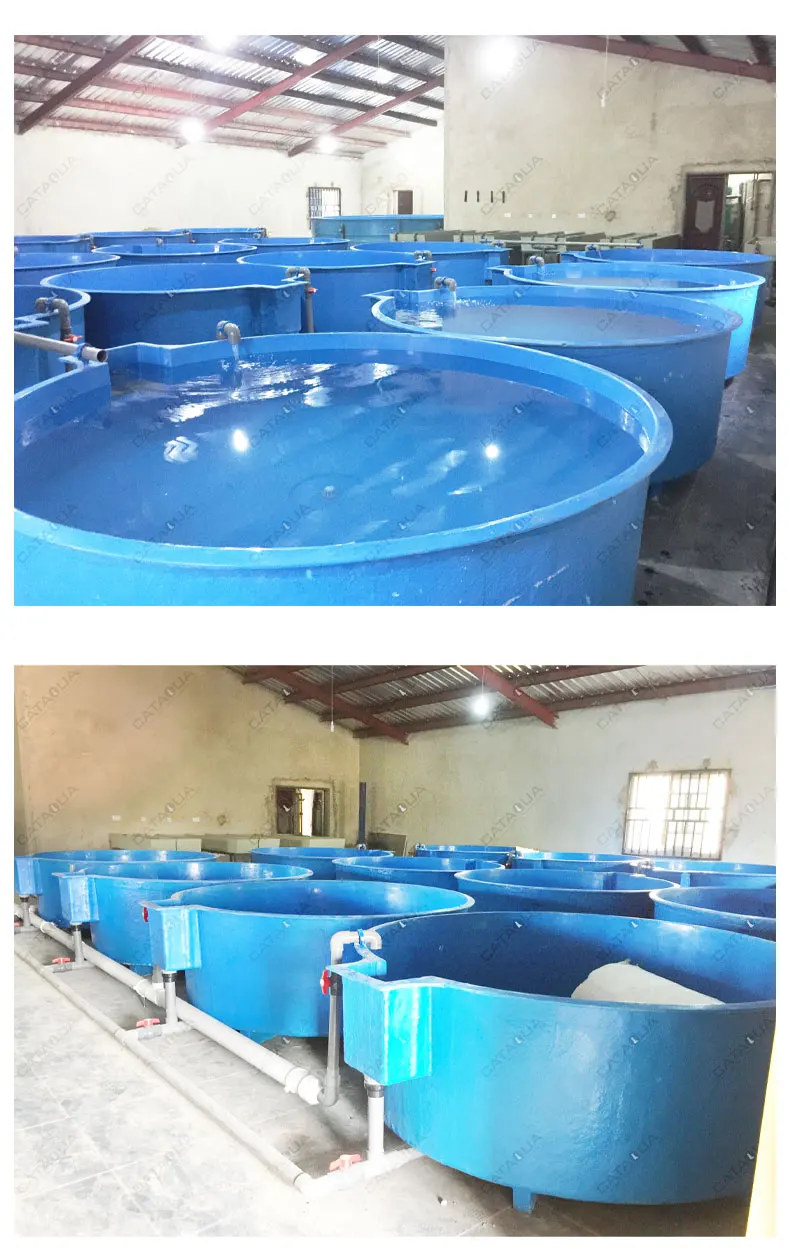 CATAQUA Fish Farm Equipments - Recirculating Aquaculture System for ...