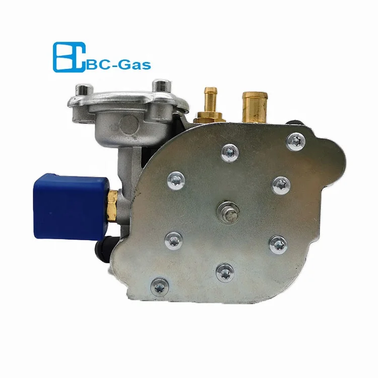Lpg Biogas Conversion Kit For Gasoline Regulator - Buy Lpg Biogas ...