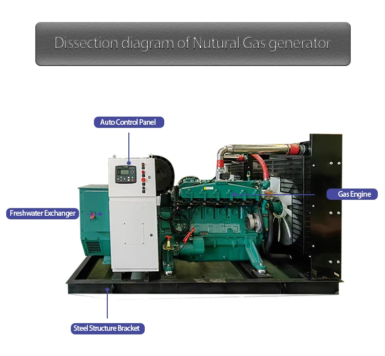 100kw Gas Biogas Generator 1mw Natural Gas Power Generator Electric ...