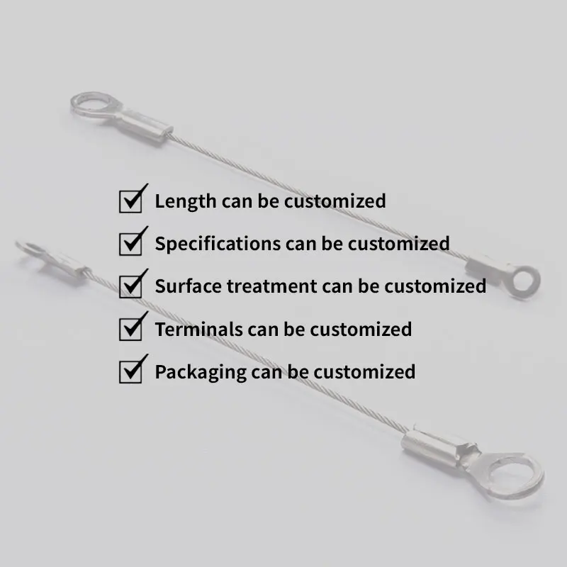 Stainless Steel Cable Assembly with Fittings for Lifting