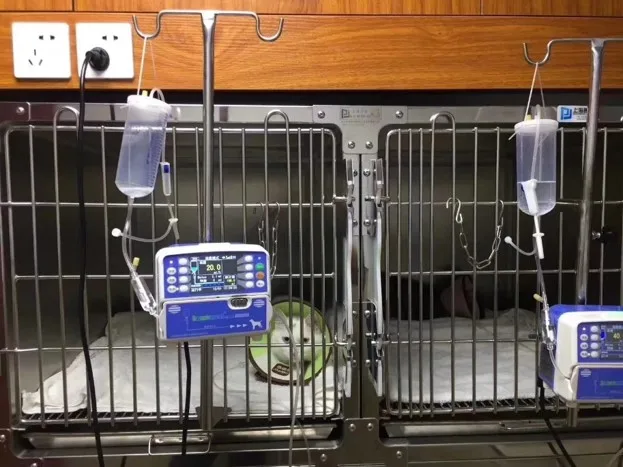 Ce 6 Infusion Modes Medical Portable Pet Veterinary Equipment High ...