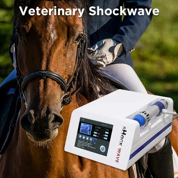 Portable Horse Use Pain Relief Shockwave Therapy Machine