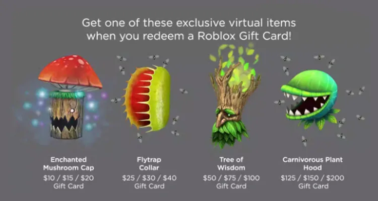Roblox R Currency Points Recharge Redemption Code Global Universal Gift ...