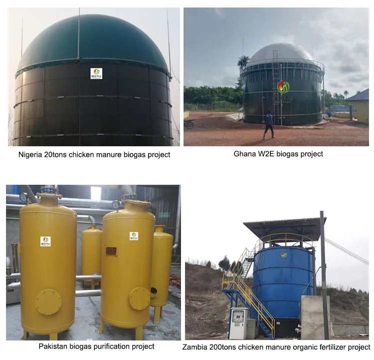 Complete Biogas Purifying Plant & Air Purifying System - OEM