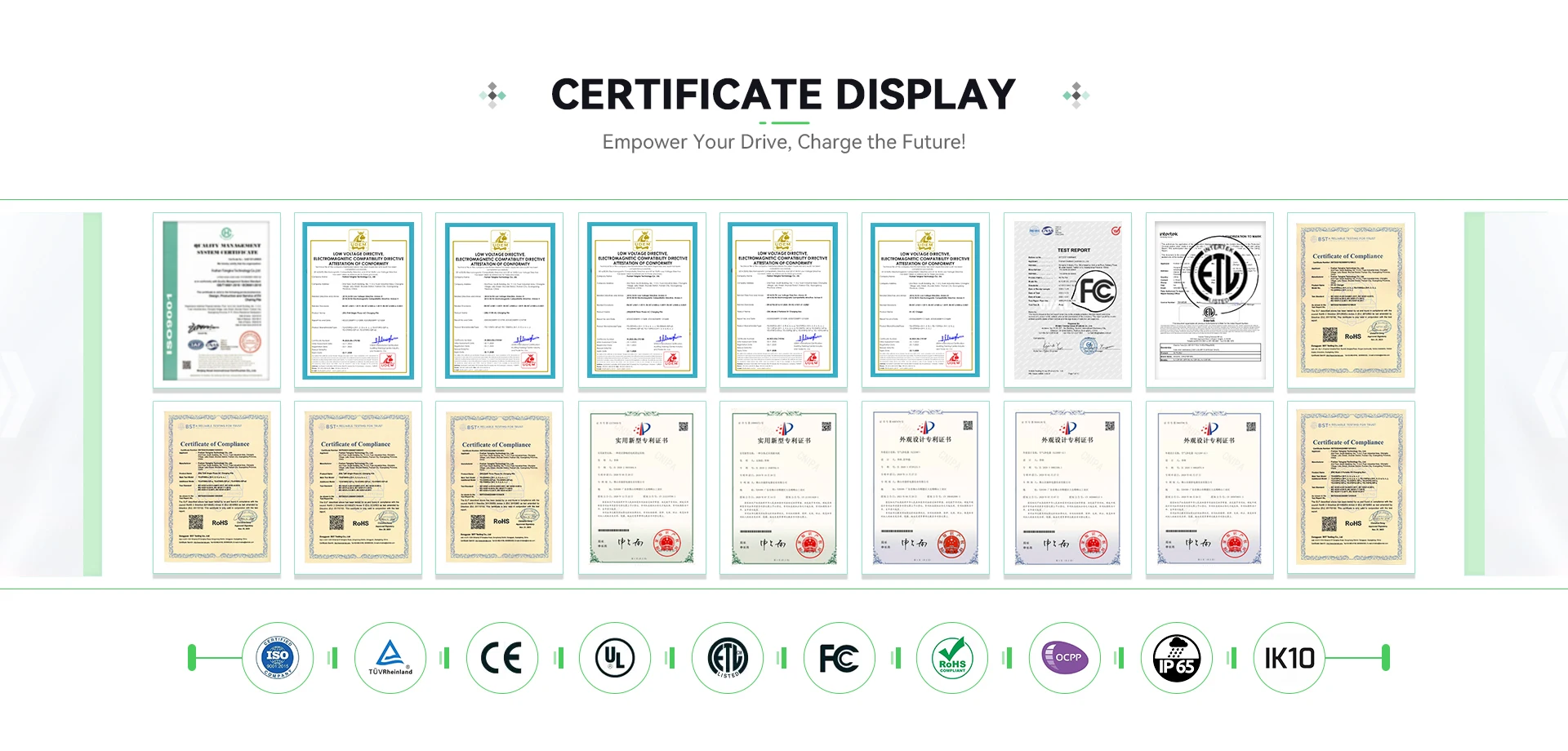 Company Overview - Foshan Tsingine Technology Co., Ltd.