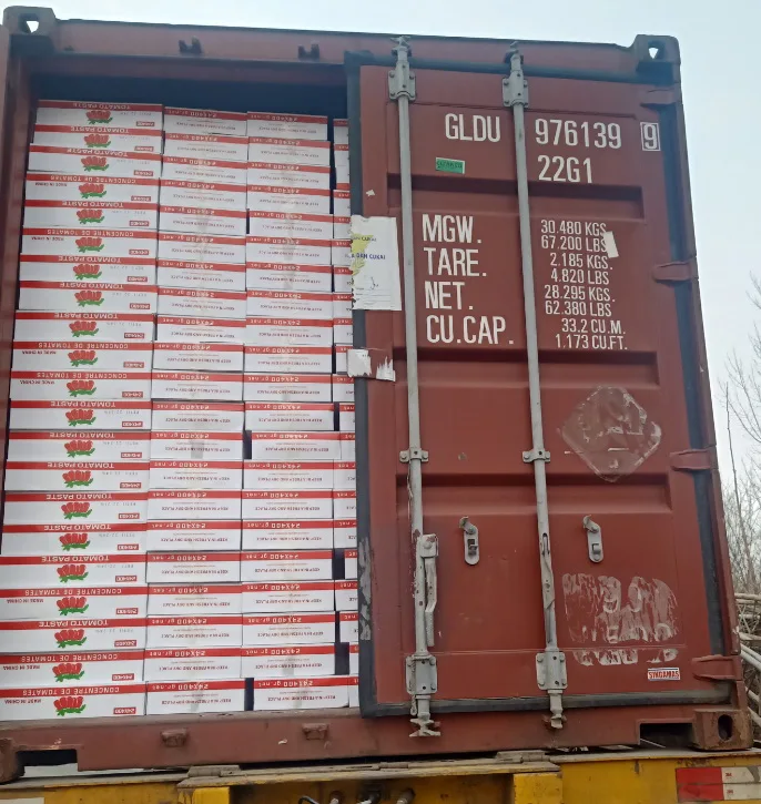 70g Private Label Ketchup Canned Tomato Paste for Ghana Market 70g*50 ...