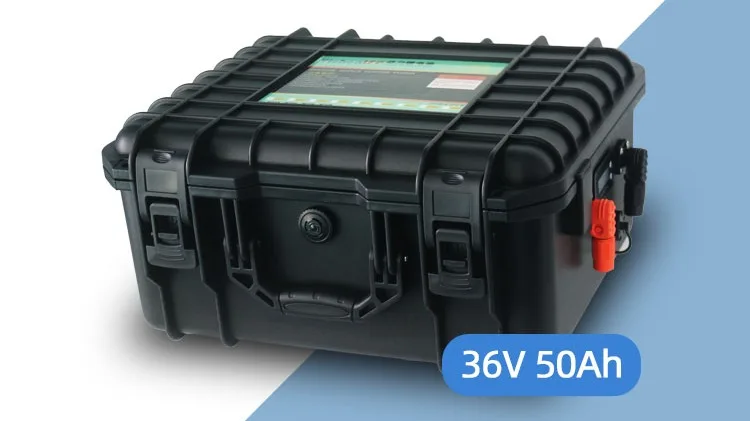 Customize Lithium-ion Portable Carry Case Kit 12v 24v 36v 50ah Marine ...