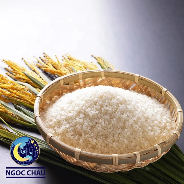 Sushi Rice Vietnam White Rice Japonica - Premium Quality Japonica Rice ...