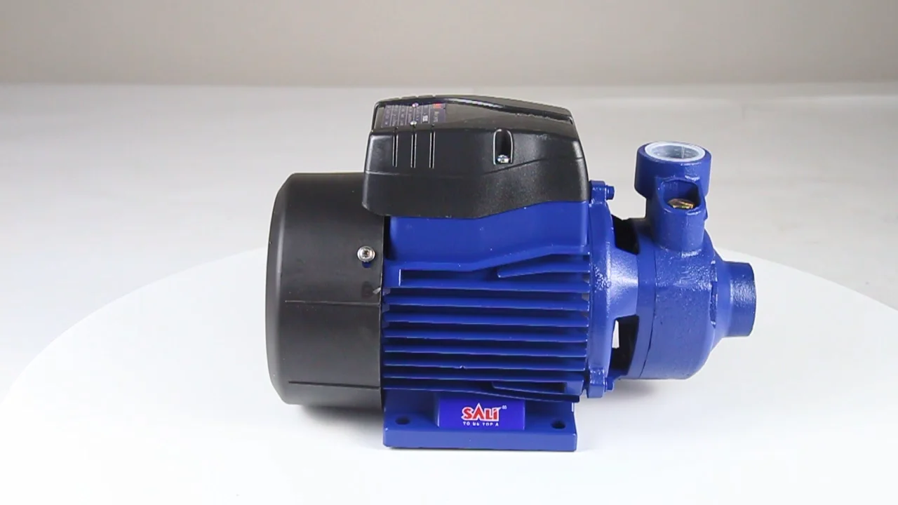 Sali Qb60 Professional Peripheral Water Pump