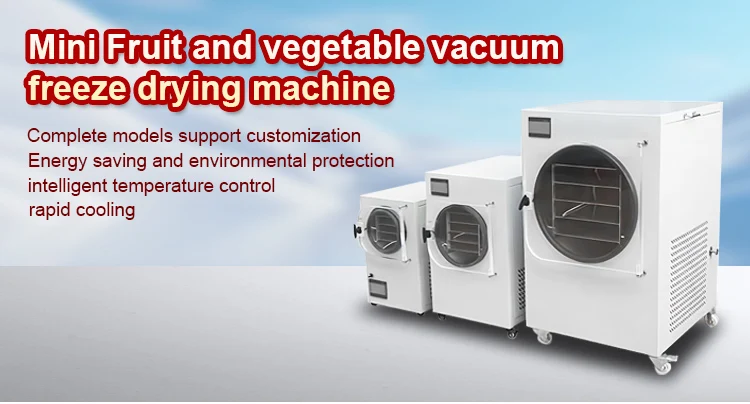 Xianglu Industrial Freeze Dryer Benchtop Standard Type Home Use Freeze ...