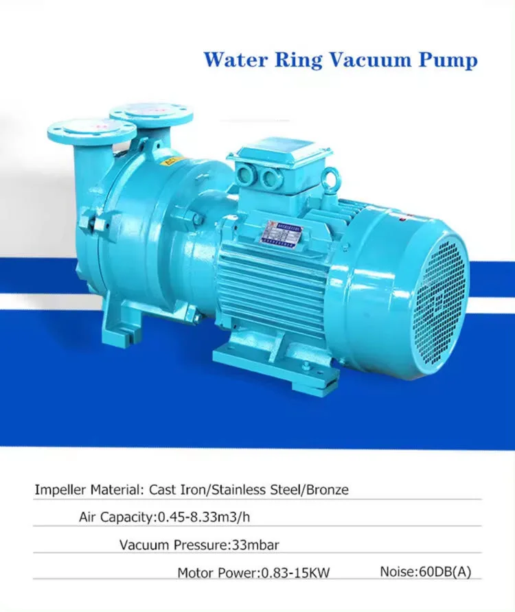 Customizable Water Ring Vacuum Pump for Large-Scale Industrial Vacuum ...