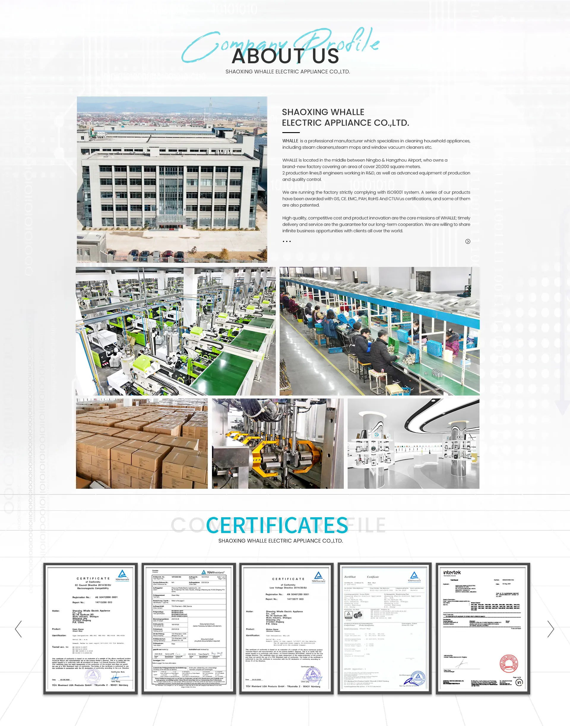 Lidl/aldi Supplier Portable Steam Cleaner WHL-609L - 1 Year Warranty