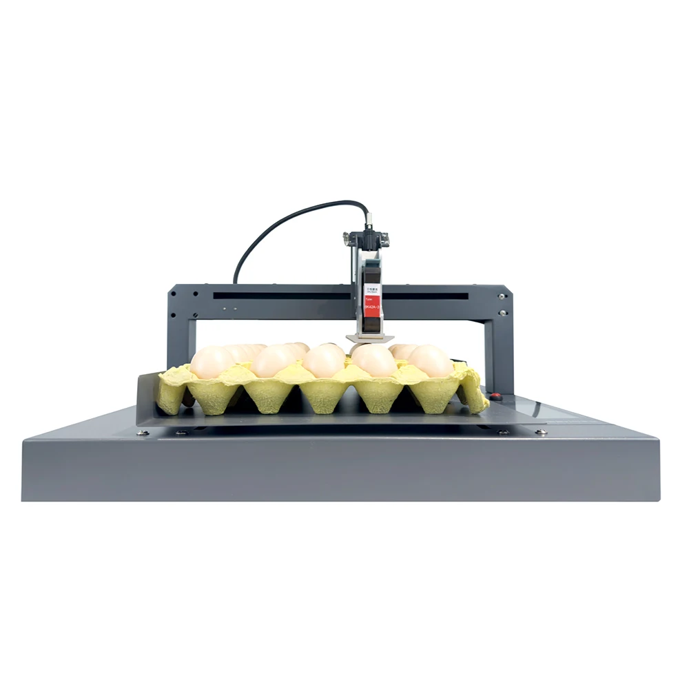 Automatic Egg Inkjet Printer Machine With Conveyor Belt Egg Date ...