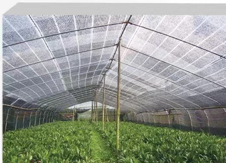 WOVEN EYELET 80gsm Tape Net for Agriculture Greenhouse Fencing