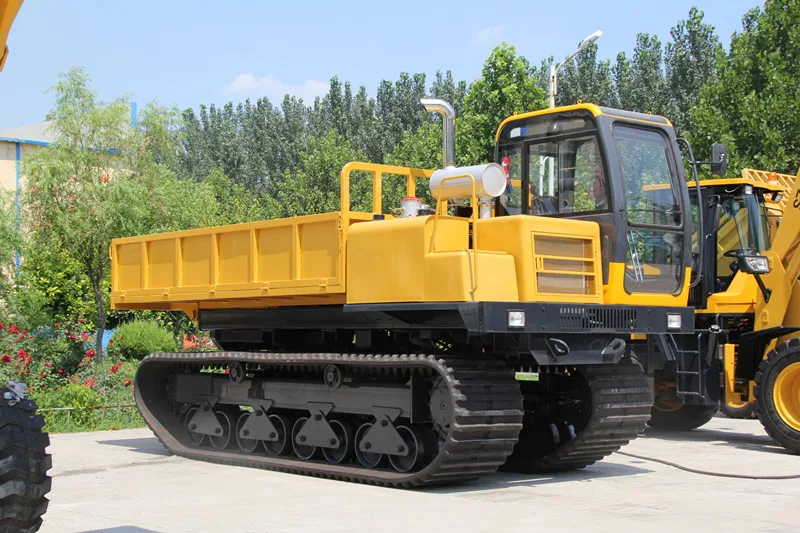 10 Ton Dump Truck for Agriculture, Forestry & Orchard Transport