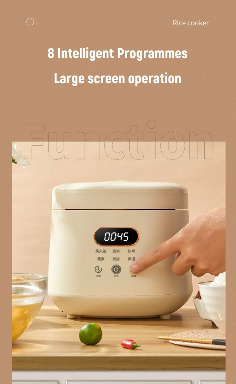 2l Mini Household Liter Mini Multi-function Rice Cooker 1~2 People ...