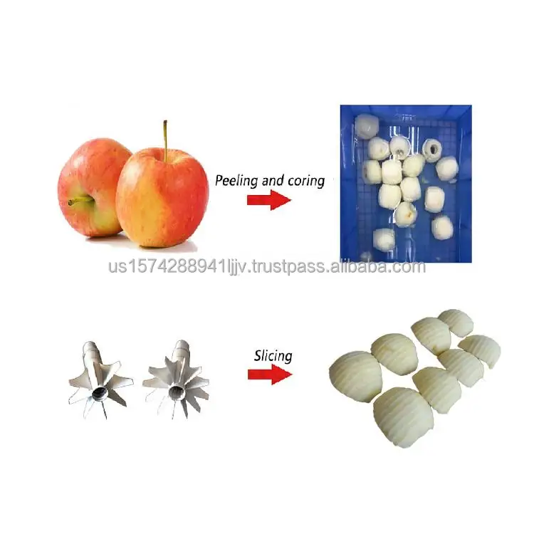 Commercial Fruit apple Peeler Fruit apple Coring and Slicing Machine ...