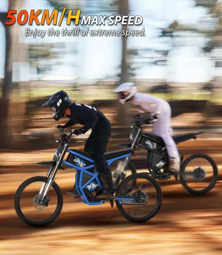 2000W GT73 Electric Bike - off-Road Performance & Pedal Assist