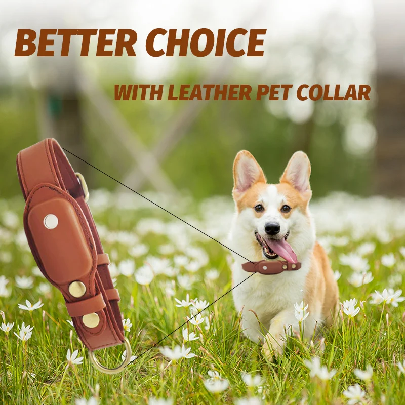 Wholesale Apple Verified airtag Micro Chip Pets Animal Wallet Cat Bike ...