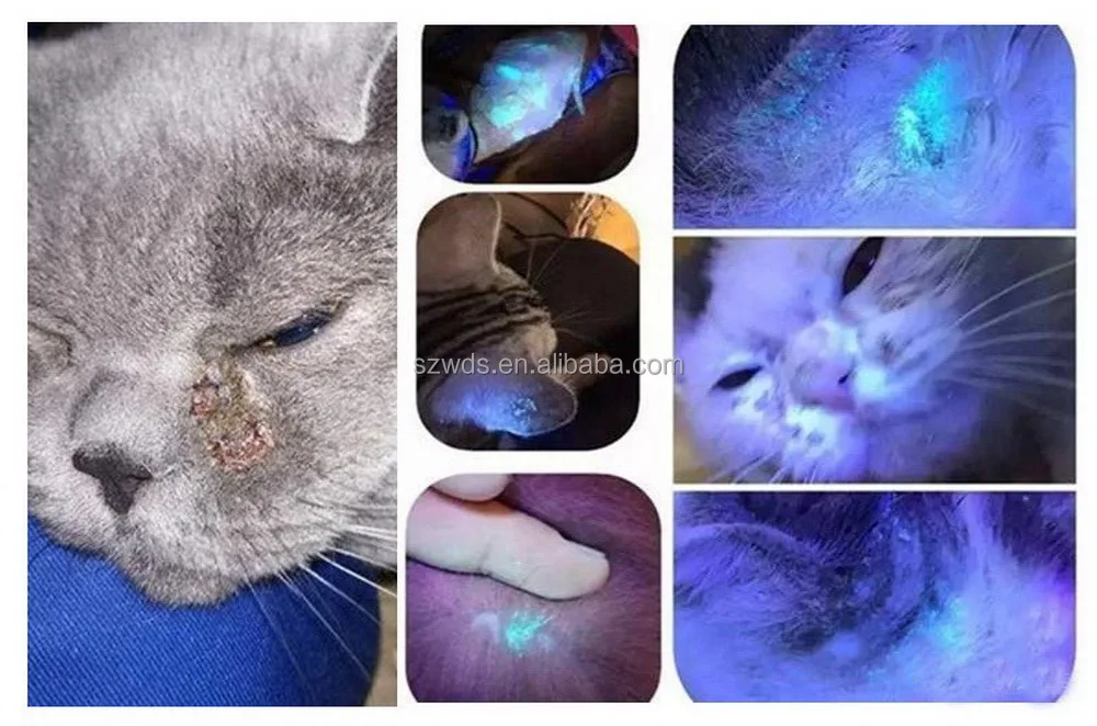 365nm USB Wood Lamp Ringworm Detector UV Blacklight Lamp