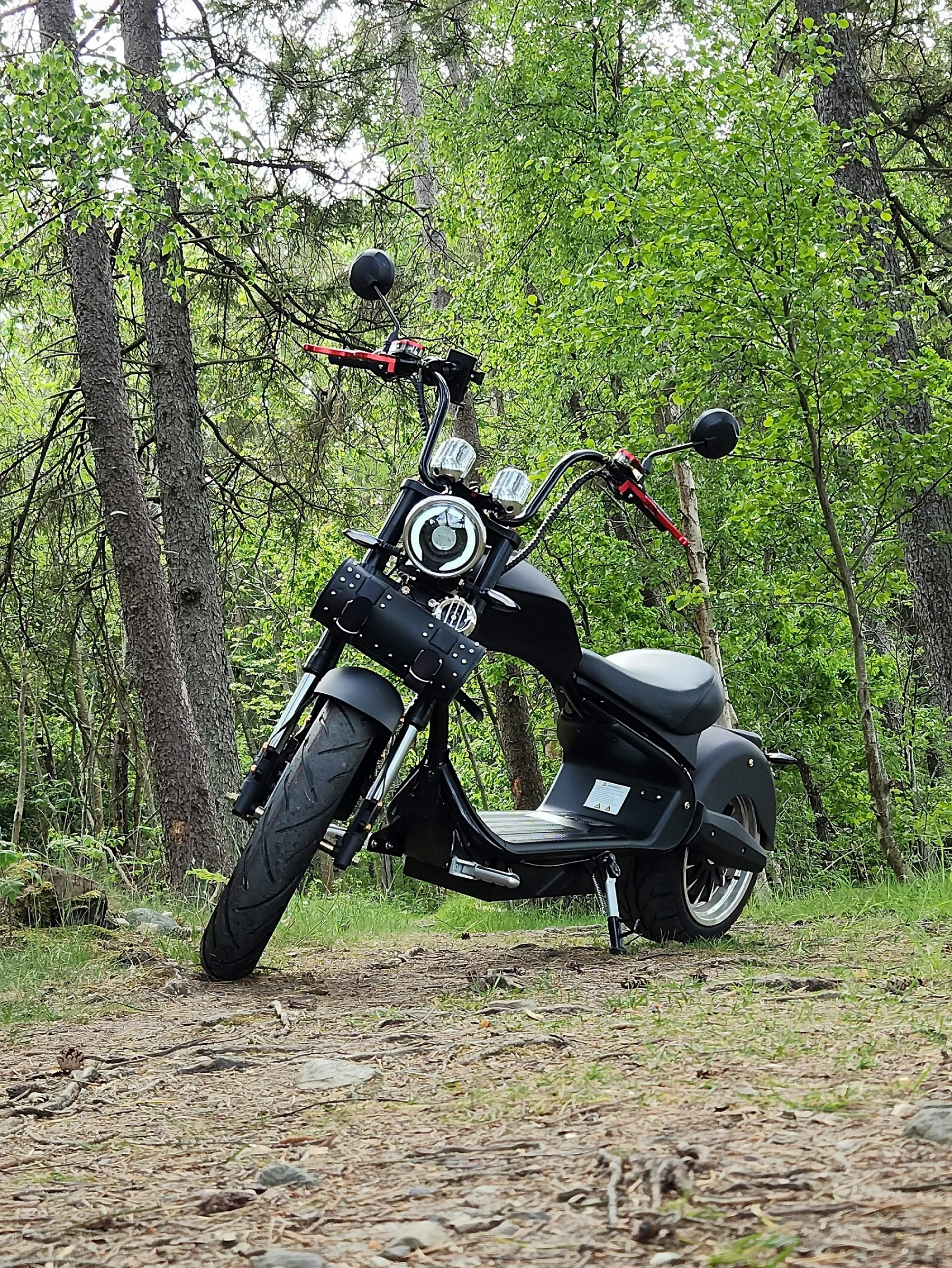 Citycoco Echoppers - High Performance Electric Motorcycles