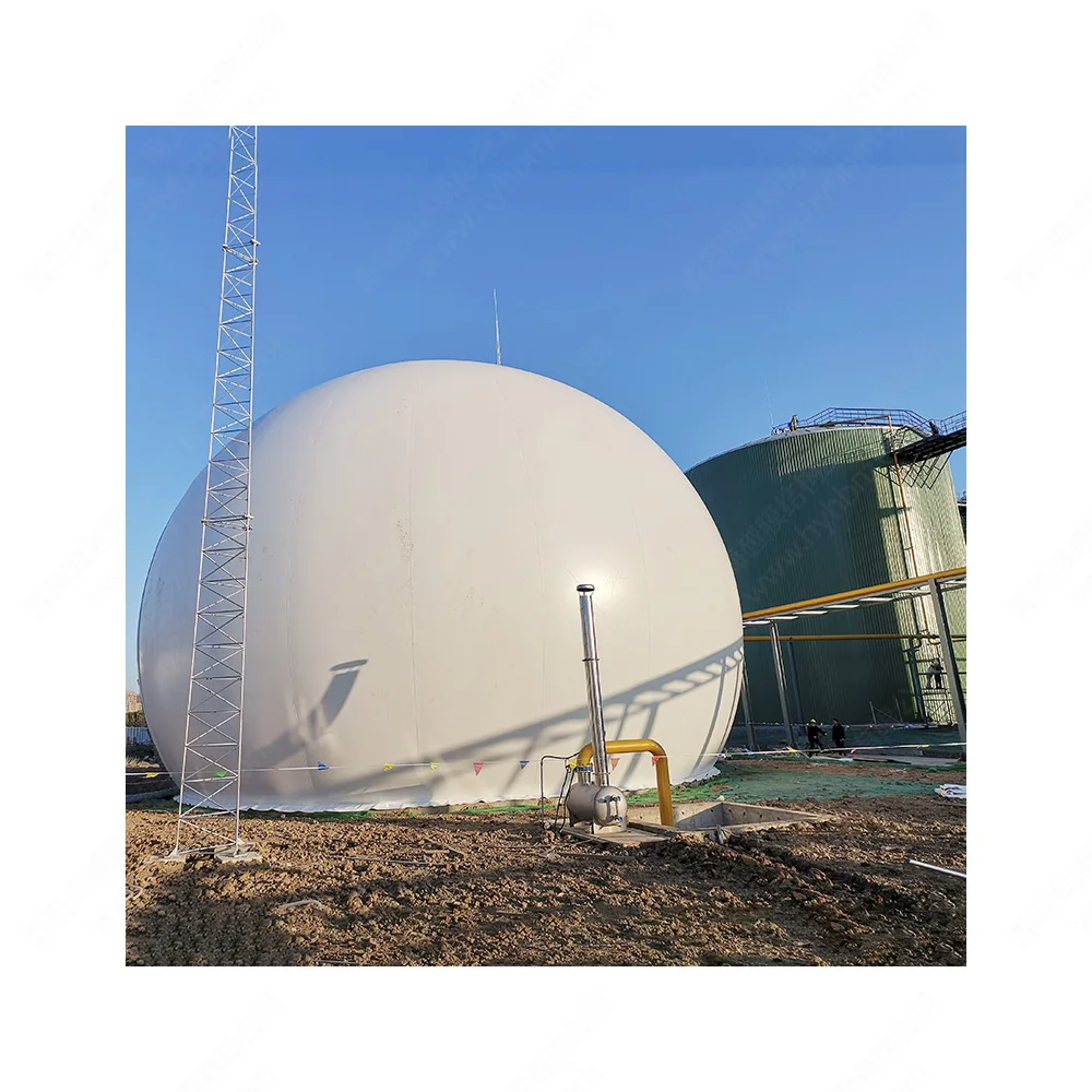 Qingdao Haiyue Biogas Factory Biogaz Storage Bag Top Biodigester Bio ...
