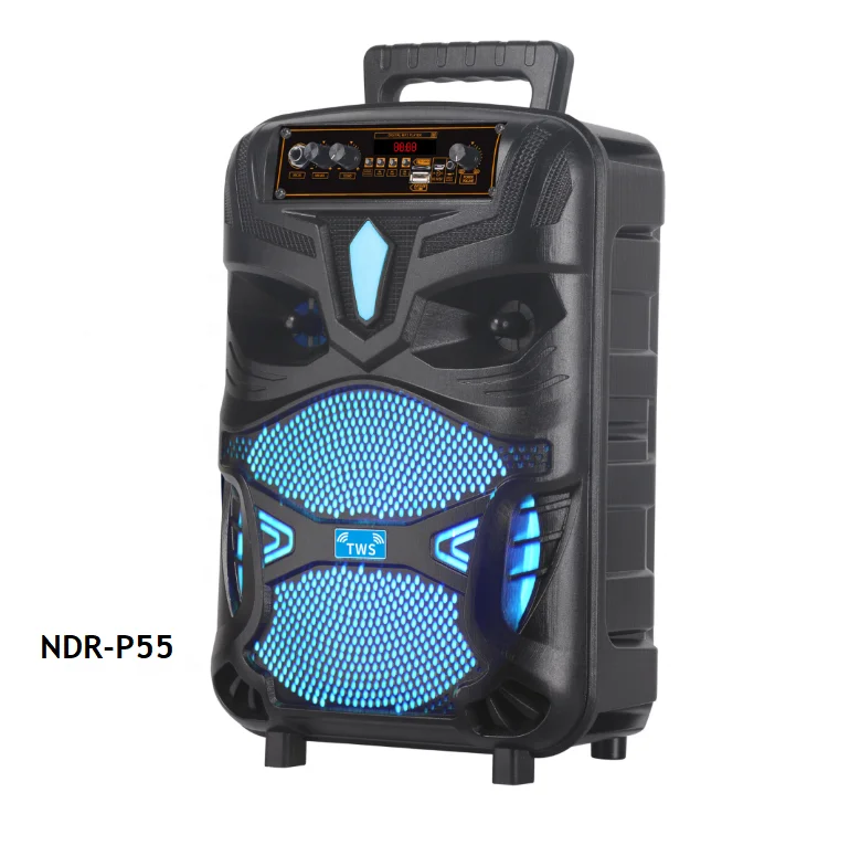 NDR-P55 Karaoke Speaker - 8 Inch Woofer with BT & Remote