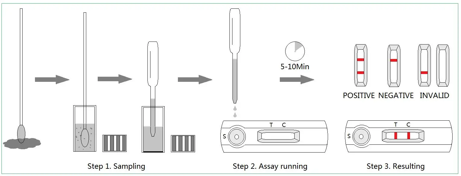 Canine Feline Cryptosporidium Antigen Rapid Test Kit