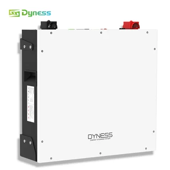 Dyness Rack Mounted Lithium Ion Batteries Dl5.0c 51.2v 48v 100ah 200ah Grade A Lifepo4 Battery ...