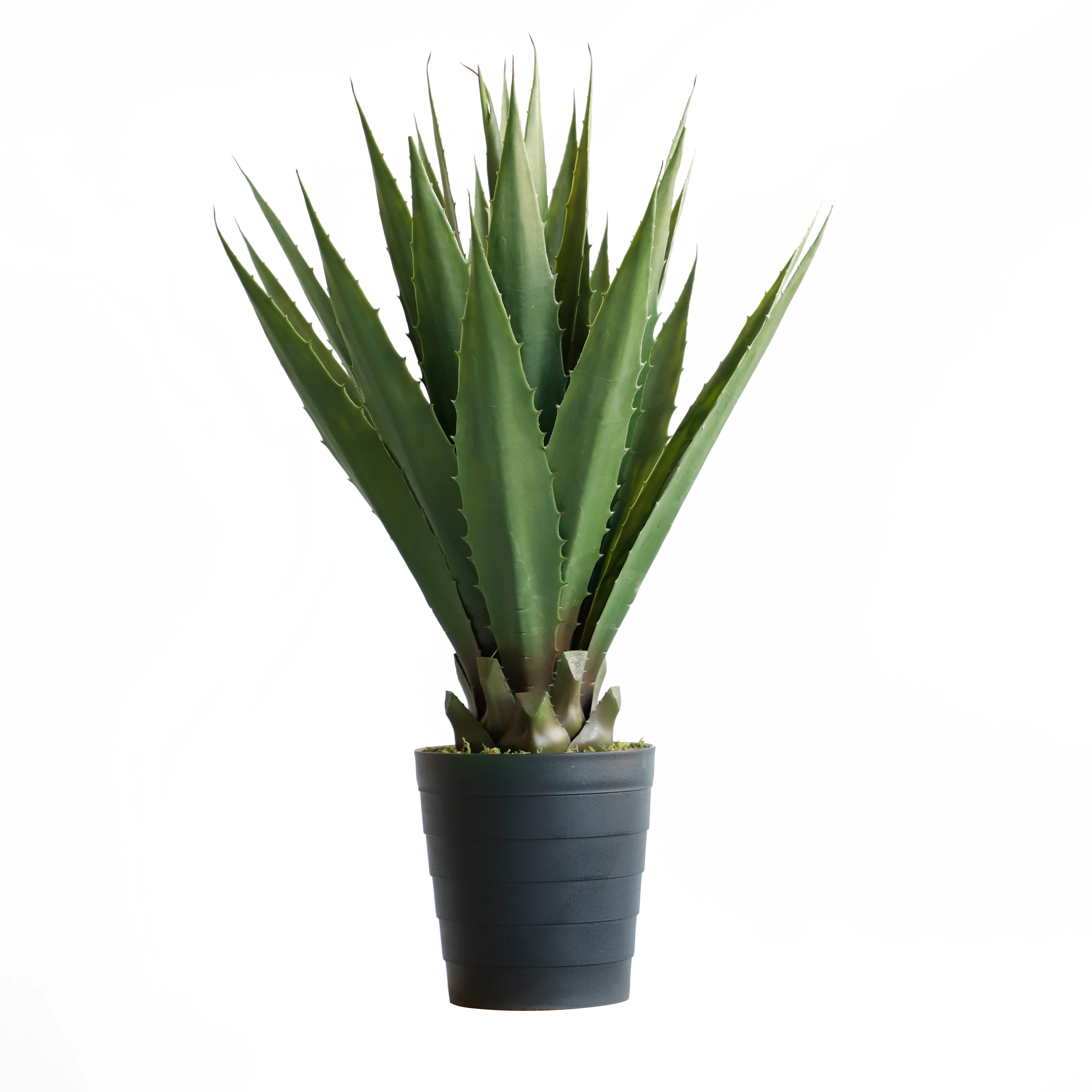 Nearly Natural Plastic Big Size Agave Americana For House Accessories ...
