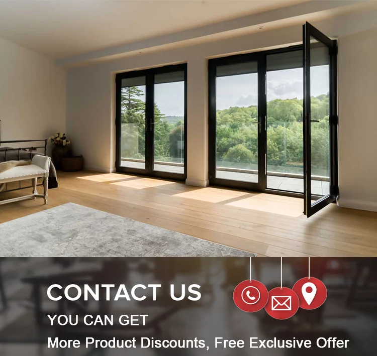 Customized Modern Indoor Divider Entry French Aluminum Casement Swing ...