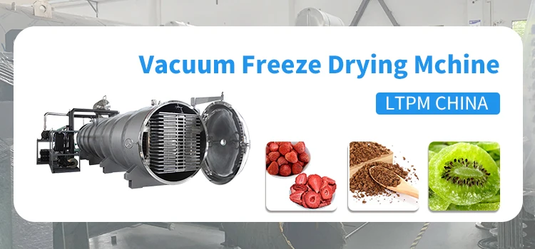 Commercial Freeze Drying Machine Sublimation Condensation Dryer Vacuum ...