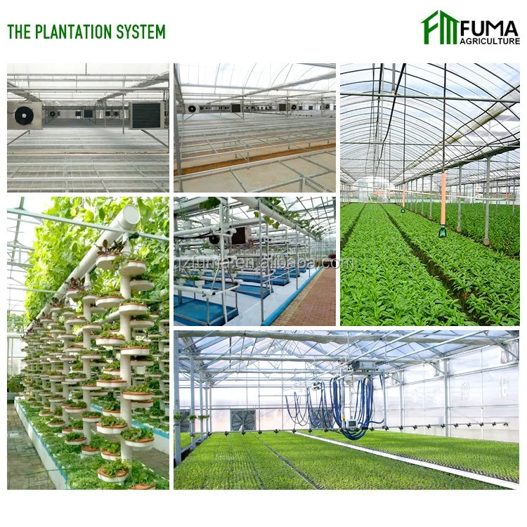 FUMA Passive Solar Greenhouses - Efficient Planting Solutions
