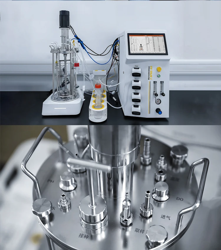 5 Liter 20 Litre Laboratory Bioreactor Fermenter System with PLC 220V 1 ...
