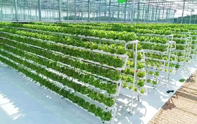 Smart Garden NFT Grow - Hydroponics Gully Vertical Farming