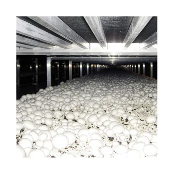 Aluminum Mushroom Growing Shelves With Lifting Platform Metal Botton ...