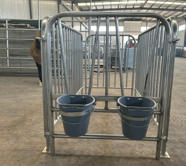 Cattle Farm Incubator Calf Feeding Box Steel Powder Coated 6 Feet ...