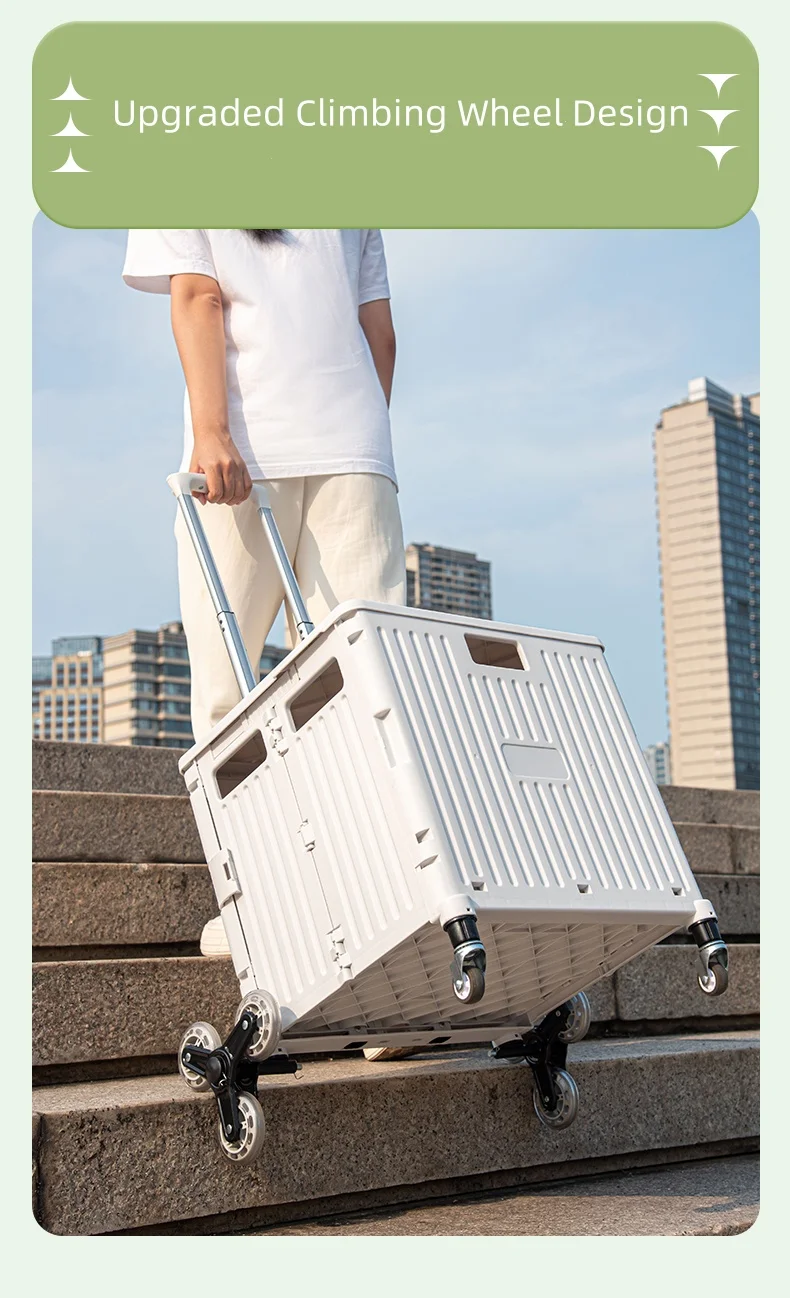 Modern Multi-Functional Foldable Plastic Trolley Case Rectangle Design ...