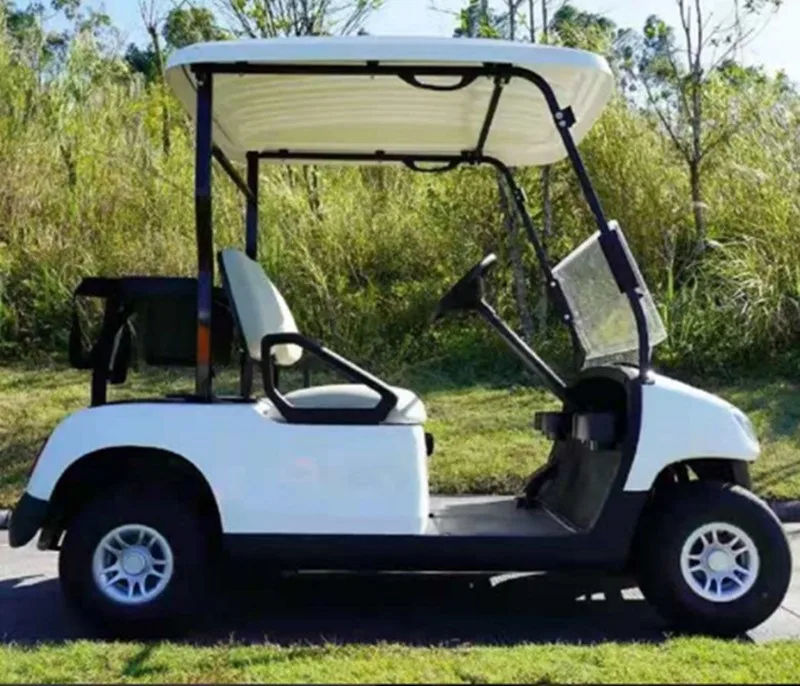 Mini Golf Cart Wuling 2 Seats Electric Golf Buggy Cart For Hotel - Buy ...