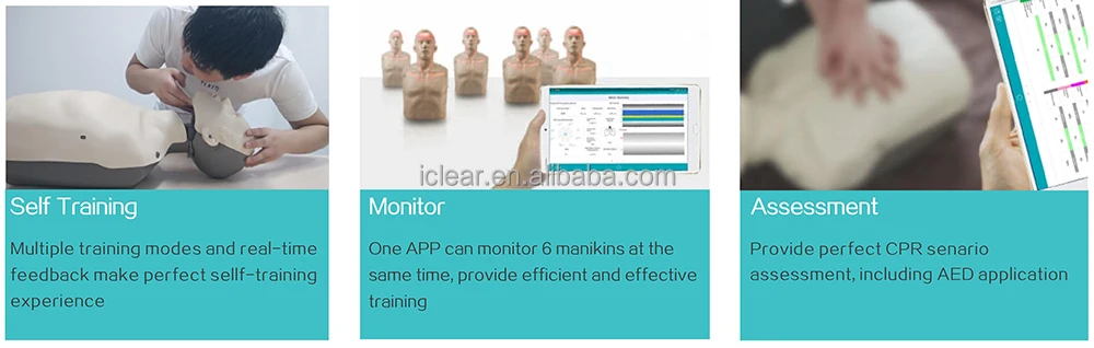 First Aid CPR Training Model with Blood Flow Visualization