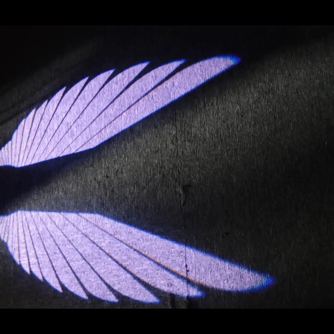 Factory Custom 2024 Angel Wings Car Door Welcome Projection Light ...