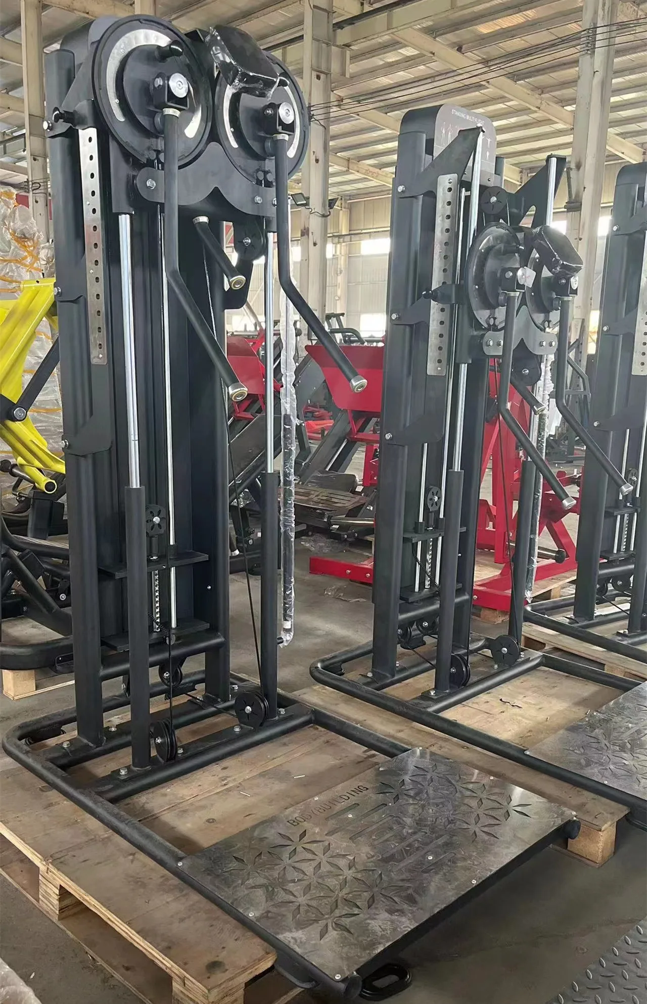 Durable Standing Lateral Raise Machine for Comprehensive Fitness ...