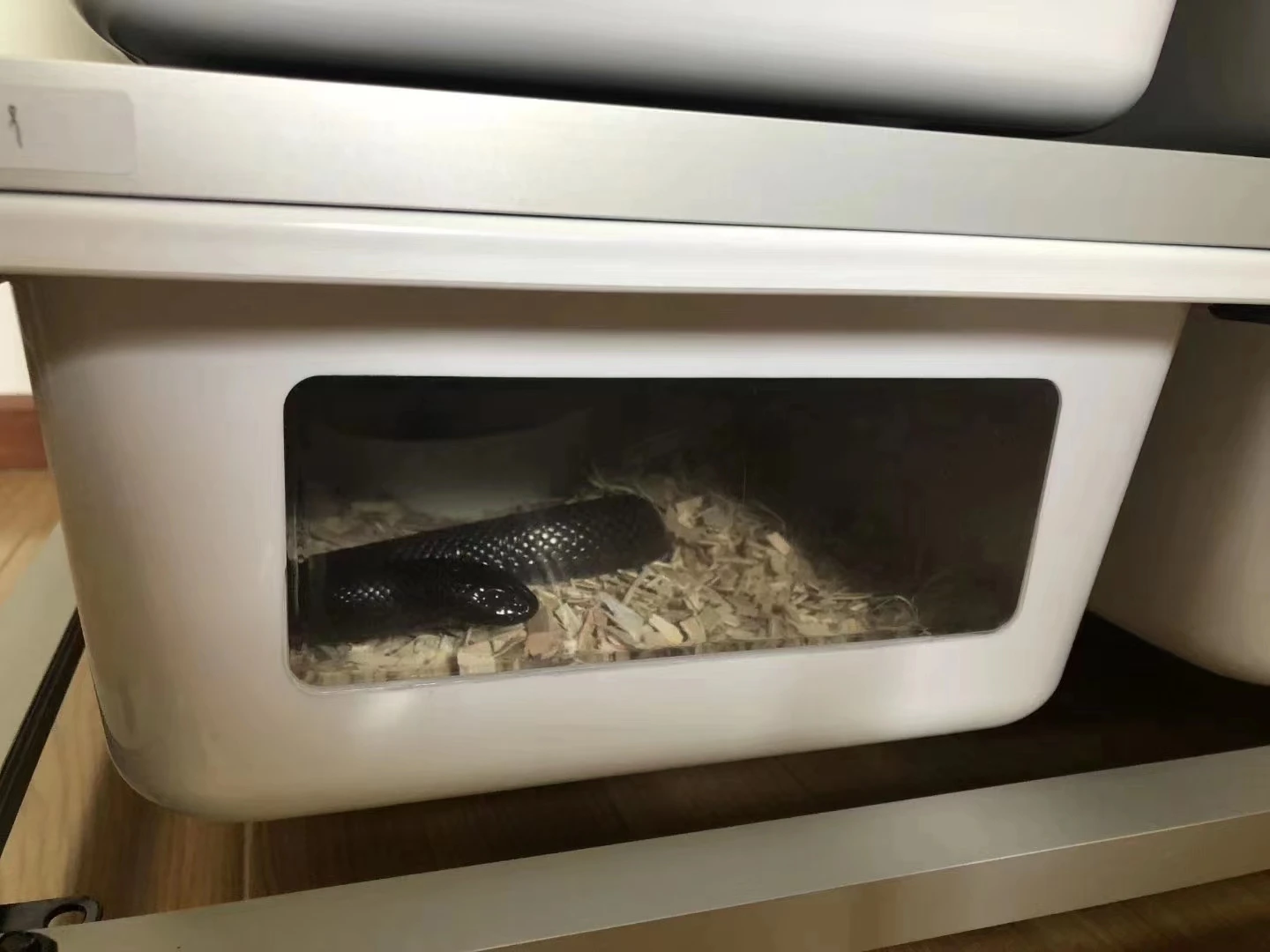 Different Size Of Modular Snake Rack For Snake Rack Breeding Box Snake ...